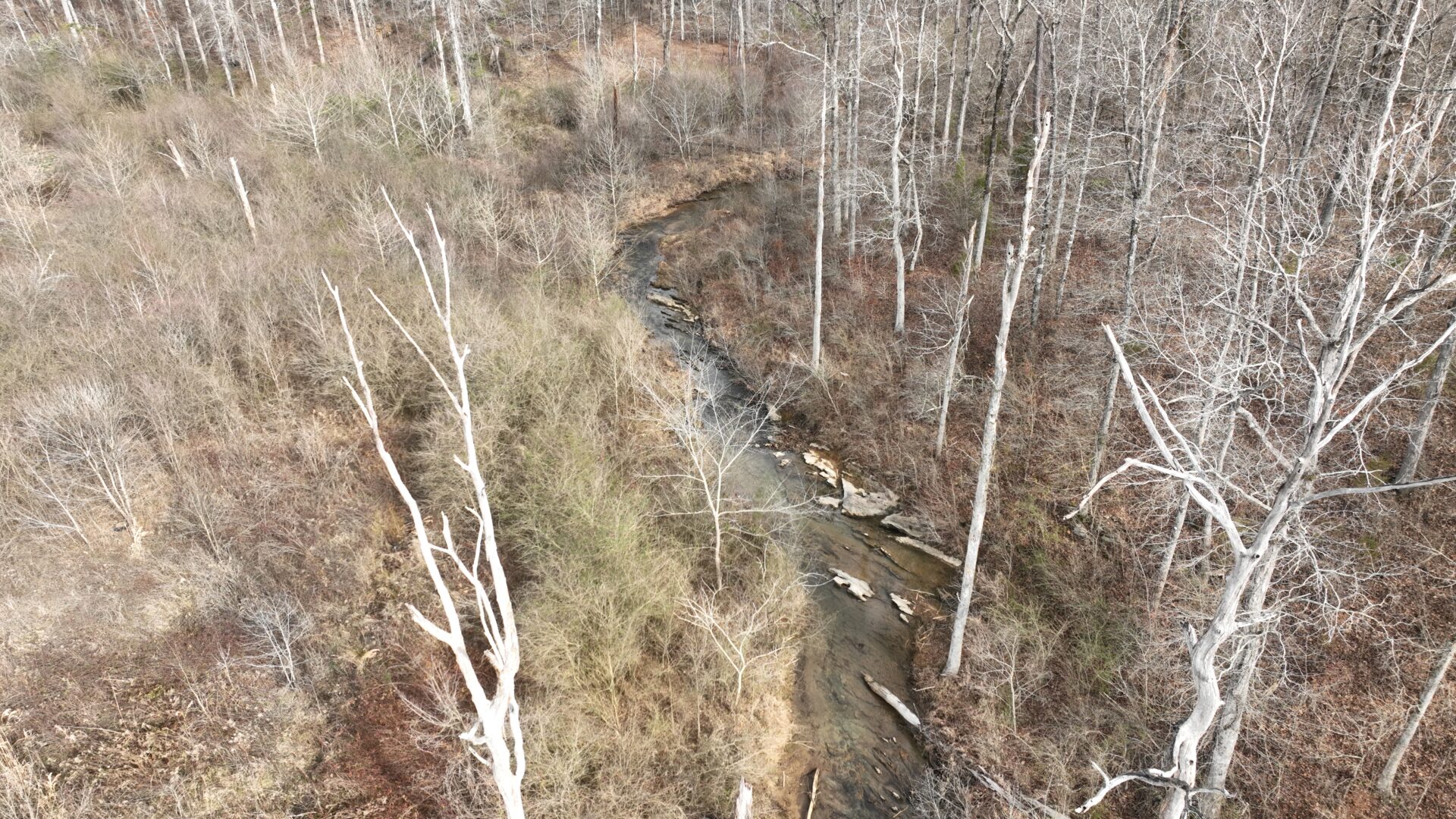 14 Acres with Creek & Utilities in Shelby County, AL – Scout Land Group