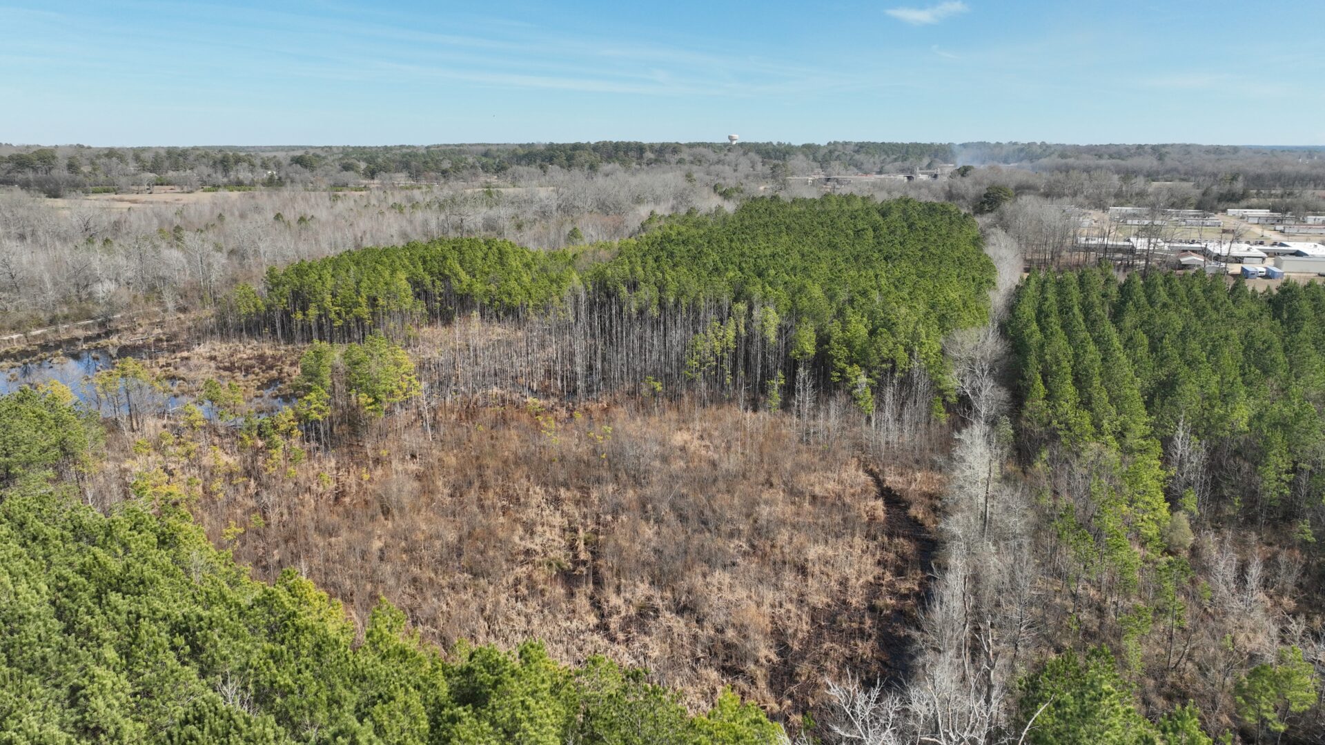 Deer & Duck Hunting Oasis, 32.67 Acres with Utilities & Gated Access in ...