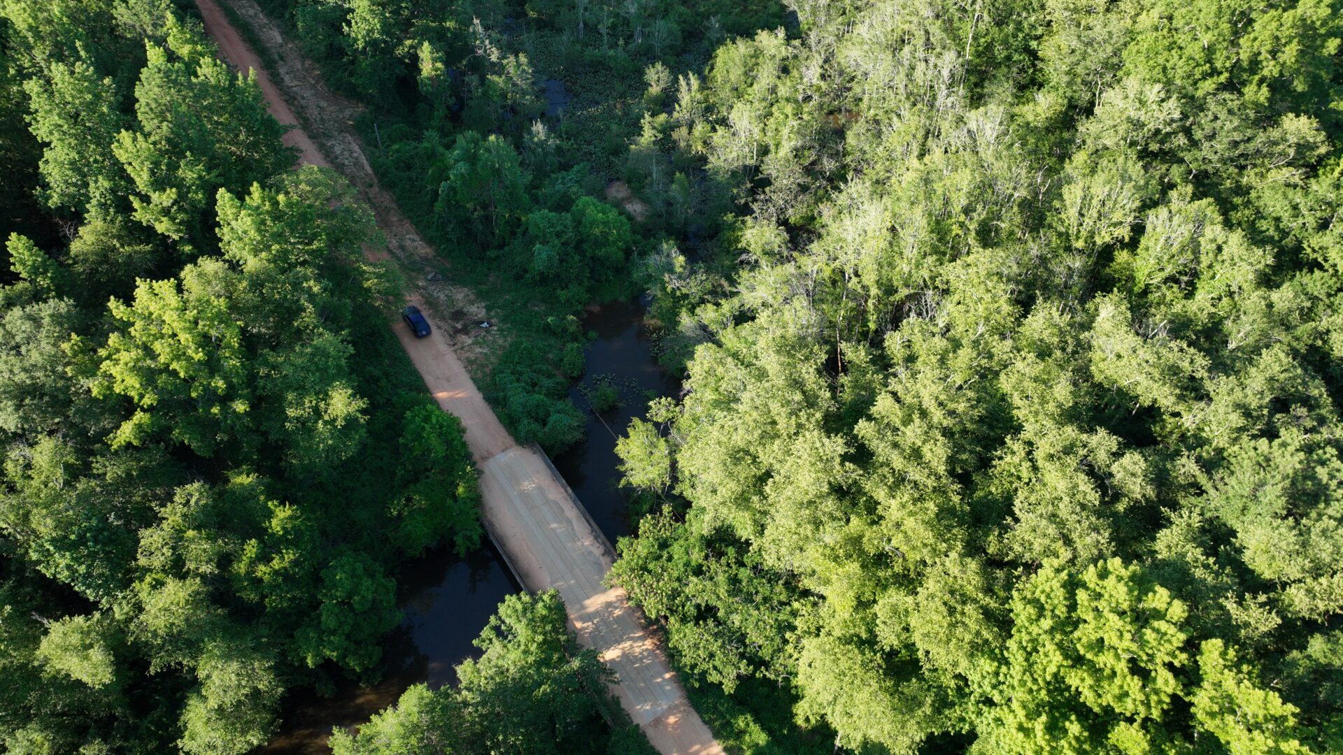 15 Acres for Sale in Scenic Macon County, Alabama | SLG